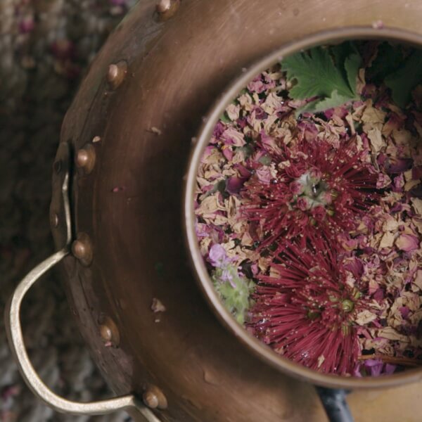Learn Distillation and How to Make Aromatic Waters | ClassBento